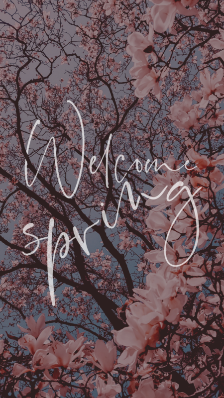 Spring is here! Aesthetic Spring images to post on social media 🌷 ⋆ The ...