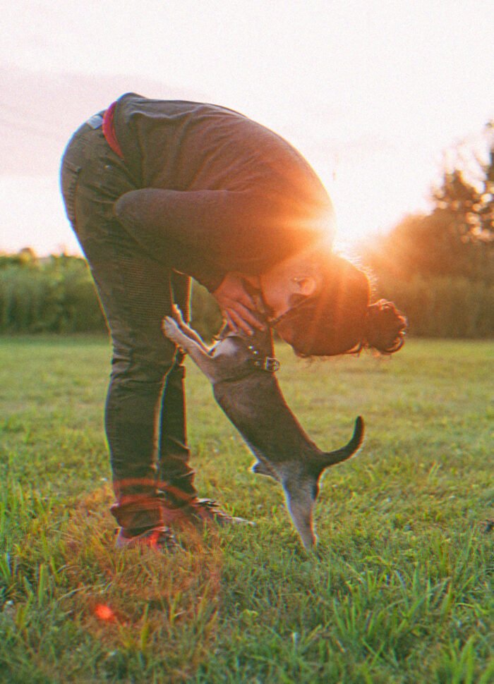 Pets Aesthetic Photo Ideas to Inspire Your Next Photo Shoot ⋆ The ...