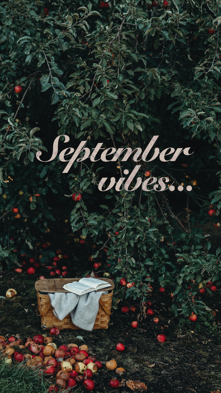 Welcome September: Cute social media posts for the first day of the ...