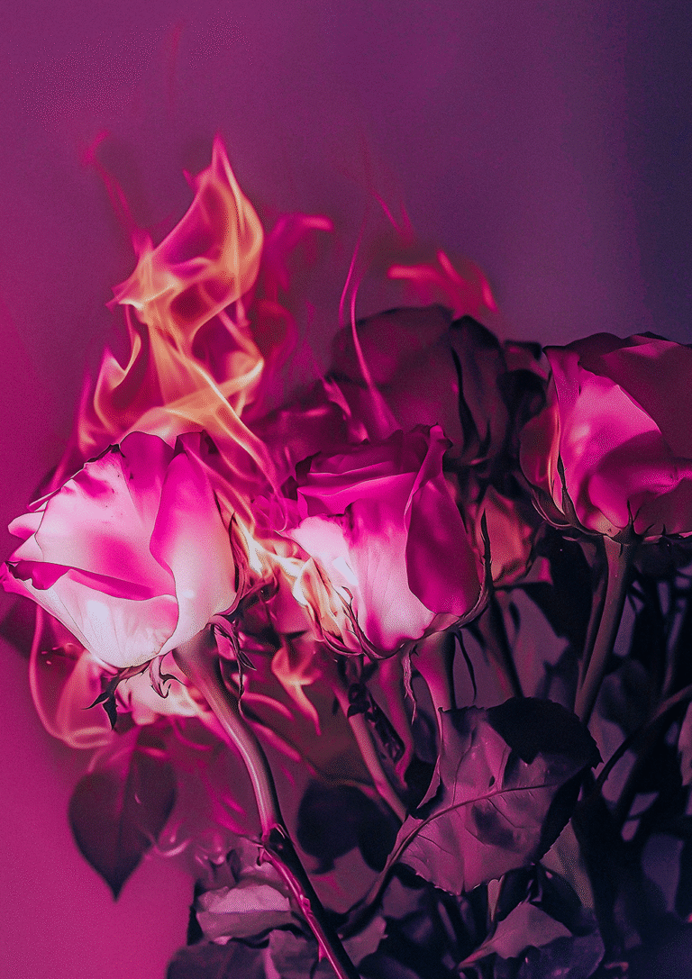 The Baddie Aesthetic Explained: A Complete Guide ⋆ The Aesthetic Shop