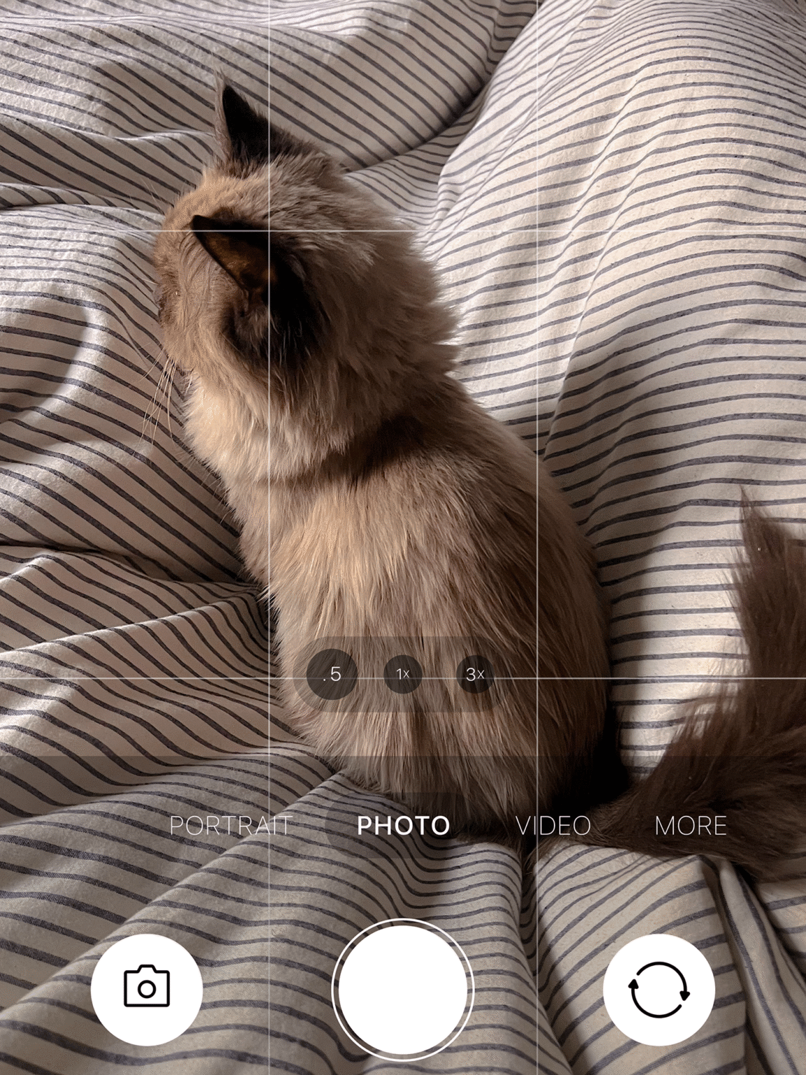 How to Create Cool Photo Dumps for Instagram ⋆ The Aesthetic Shop