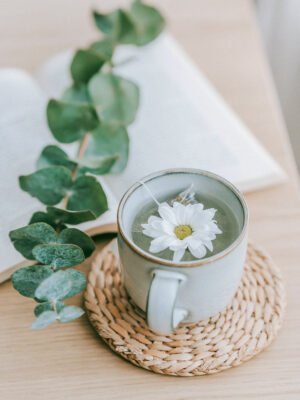 The Clean Girl Aesthetic Explained: A Complete Guide ⋆ The Aesthetic Shop